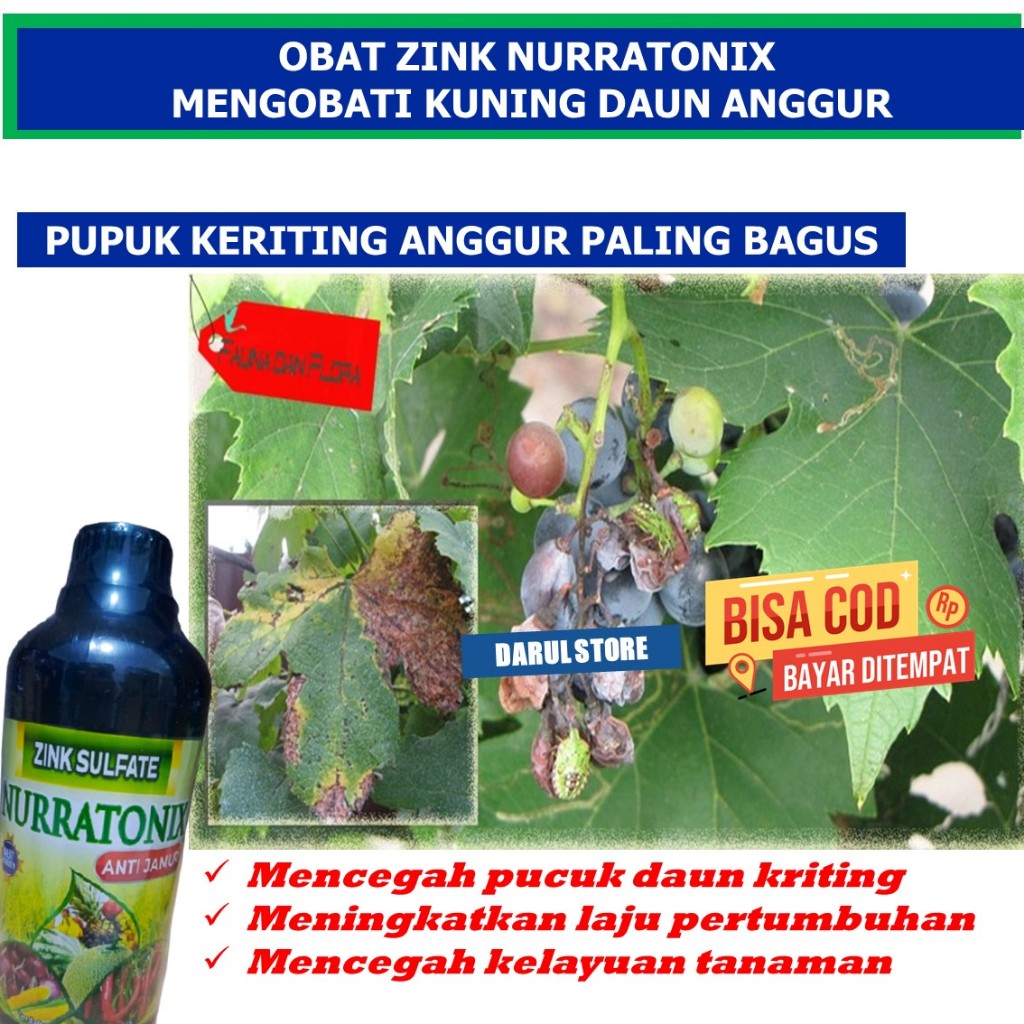 Jual OBAT BUSUK BUAH ANGGUR ZINK NURRATONIX MENCEGAH LAYU TANAMAN DAN ...