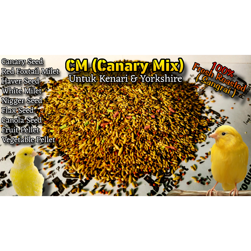 Jual CANARY MIX 5kg - Pakan Burung Canary / Kenari Yorkshire - JJ ...