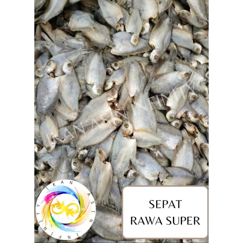 Jual Ikan Asin Sepat Rawa Super (250 gram) | Shopee Indonesia