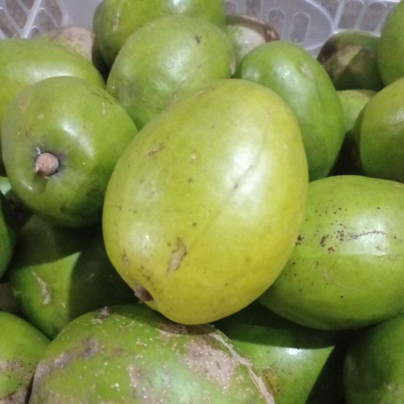 Jual Kedondong 1kg | Shopee Indonesia