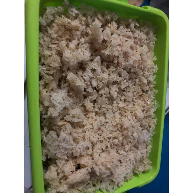 Jual nasi kering / nasi aking bisa dikonsumsi / pakan ternak 500gr ...