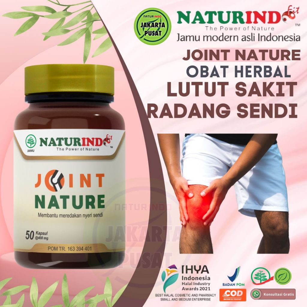 Jual Obat herbal persendian nyeri sendi pegal otot linu kesemutan kebas ...