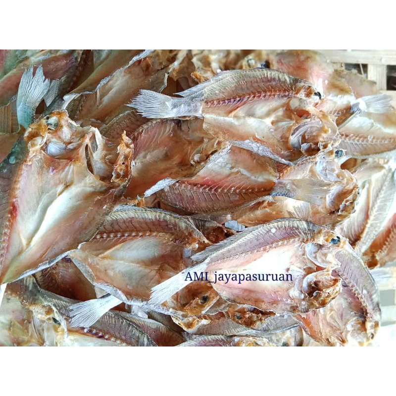 Jual Ikan Asin Gulama Belah/Glomo/Kepala Batu | Shopee Indonesia