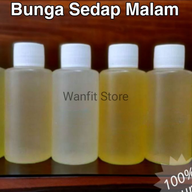 Jual BIBIT PARFUM MURNI AROMA BUNGA SEDAP MALAM 100 ML | Shopee Indonesia