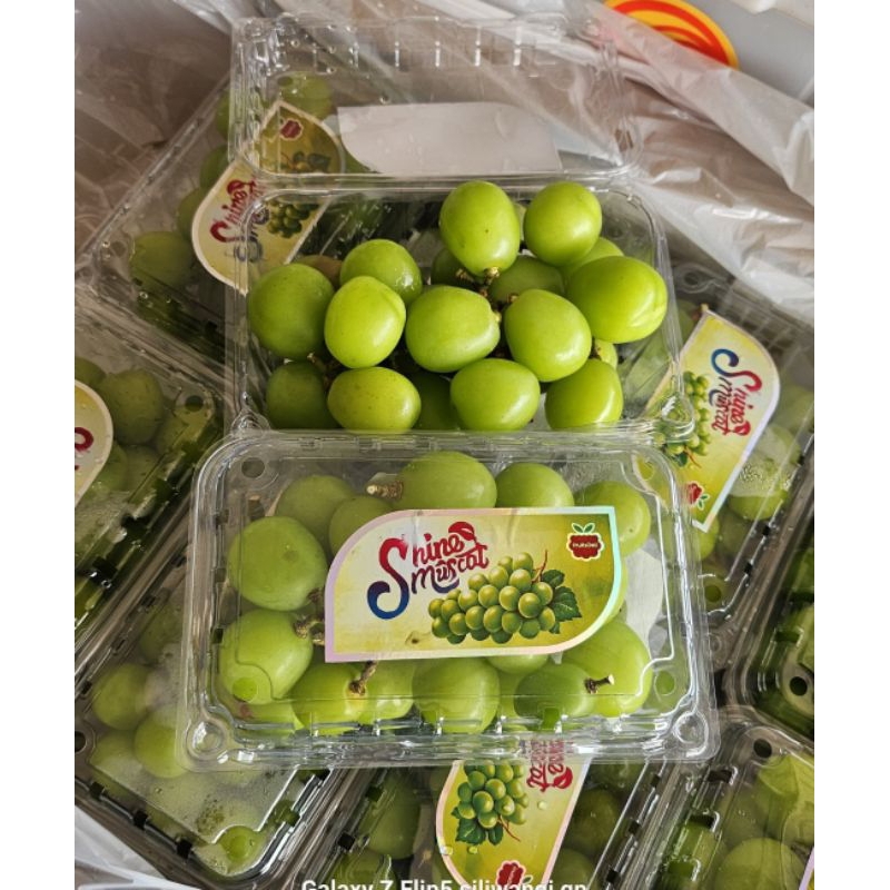 Jual anggur shine muscat 500g | Shopee Indonesia