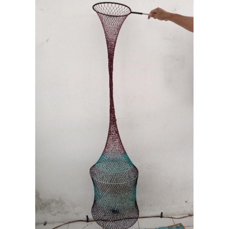 Jual KOJA JUMBO/KOJA TAWESAN | Shopee Indonesia