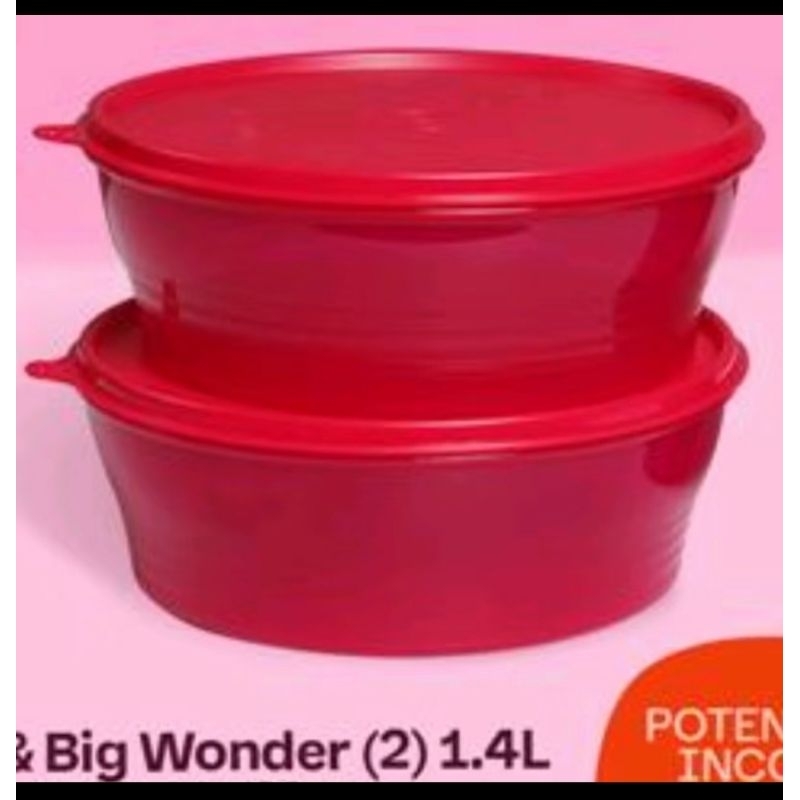 Jual bowl tupperware 1,4L 2pcs | Shopee Indonesia