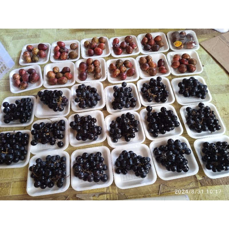 Jual parcel buah/parcel mini | Shopee Indonesia