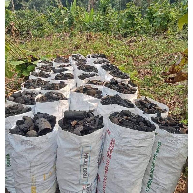 Jual areng kayu bakar / arang kayu media tanam anggrek / untuk memanggang | Shopee Indonesia
