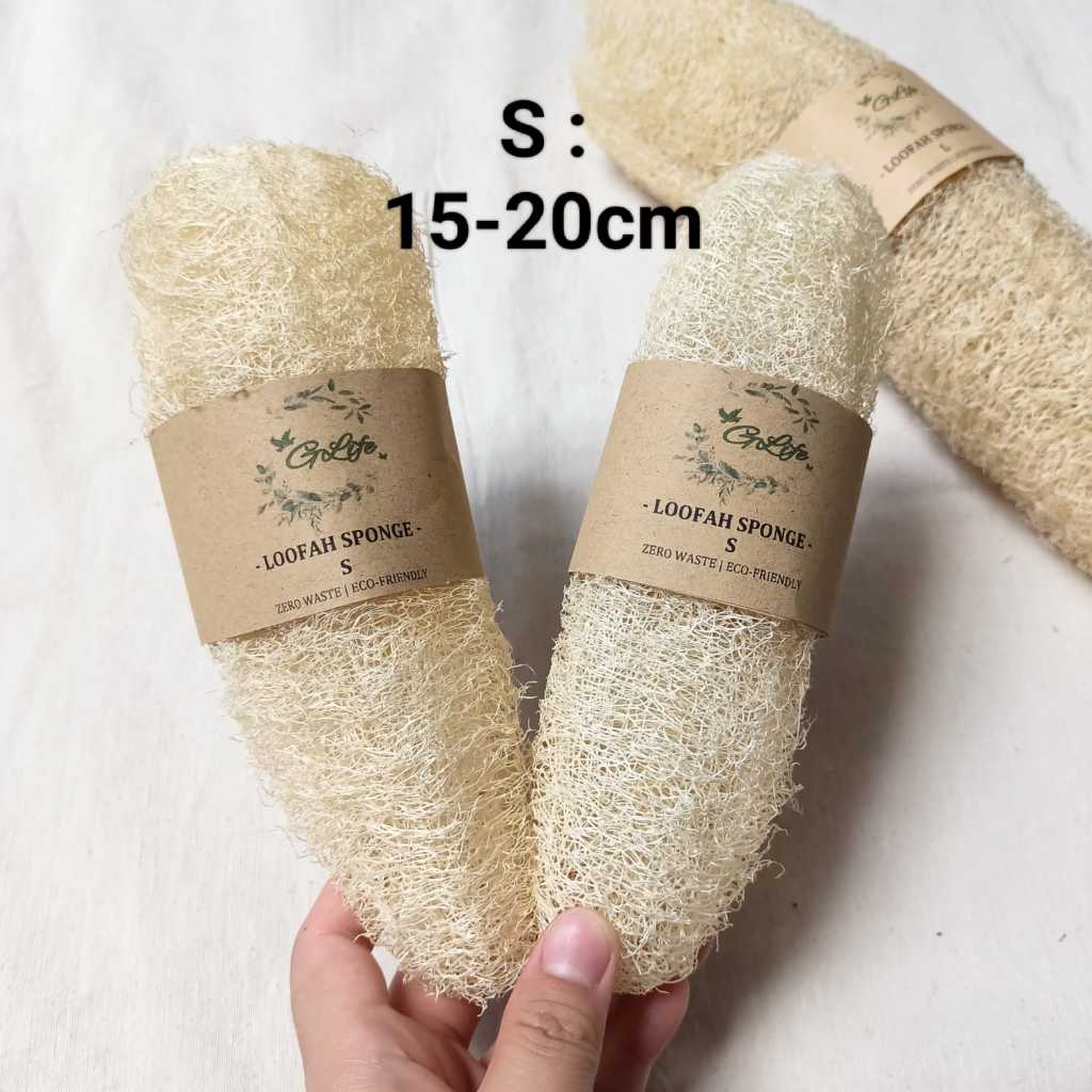 Jual Loofah Sponge Mandi S / Spons Loofah Spon Cuci Piring Alami Gambas ...