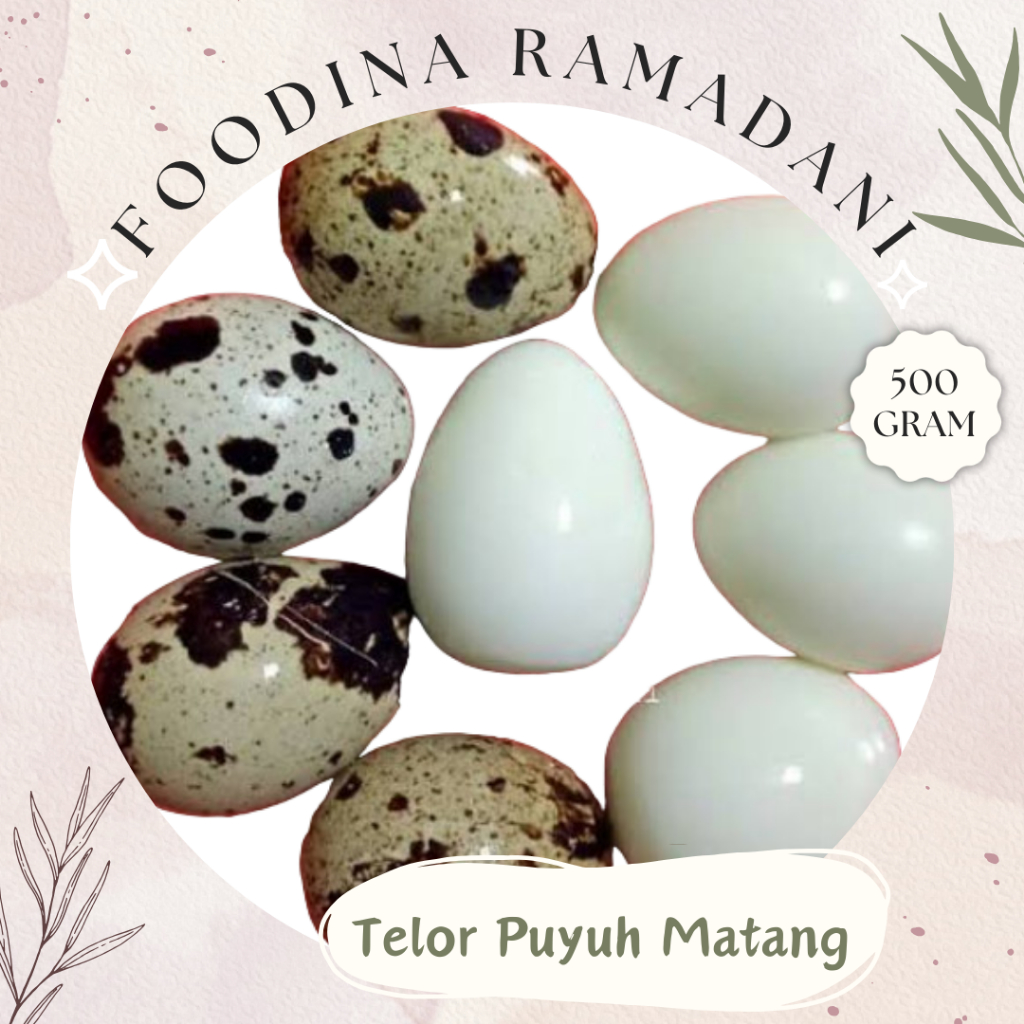 Jual TELOR PUYUH Matang - Quail Eggs Fresh [ 500gr ] Harga Per 0,5 Kg ...