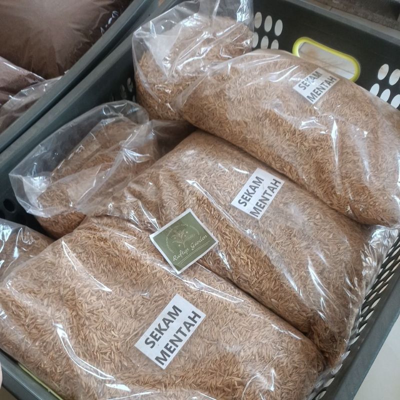 Jual Sekam Mentah Kulit Padi Sekam Kering Campuran Media Tanam | Shopee ...
