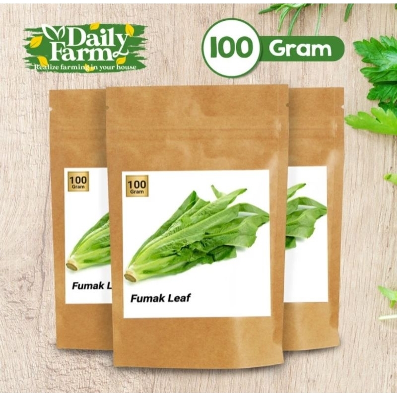 Jual Benih Sayur Fumak Leaf - Selada Wangi ( 100 Grm ) | Shopee Indonesia