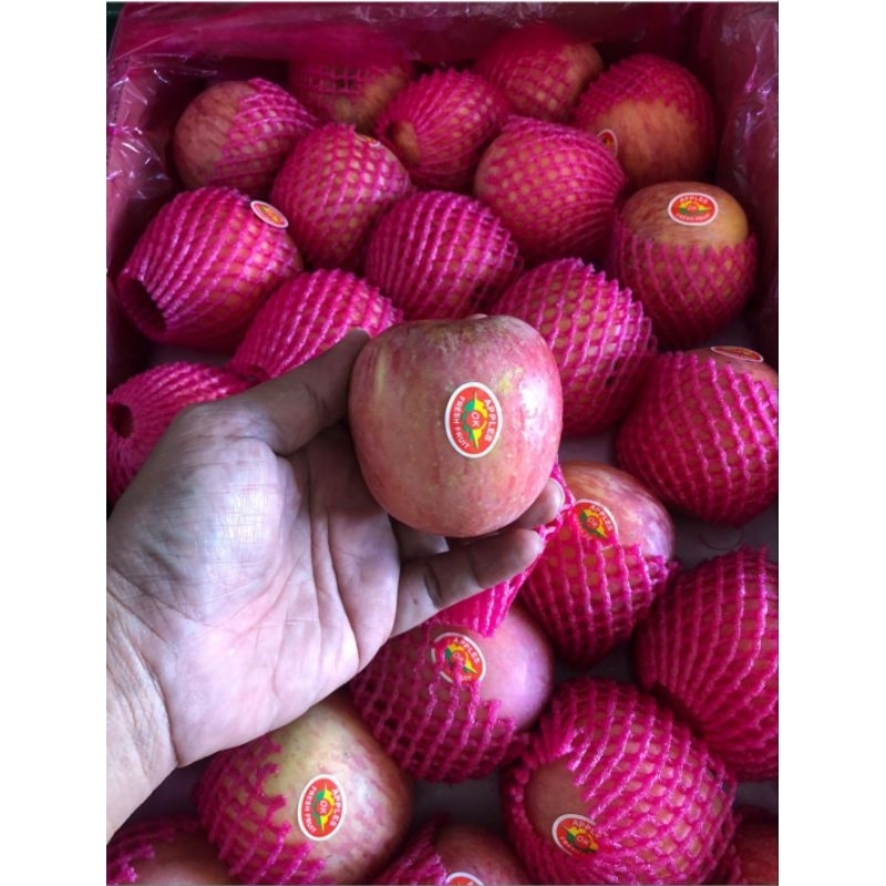 Jual Apel Fuji biasa 1 kardus 17 kg isi 88/100 biji | Shopee Indonesia