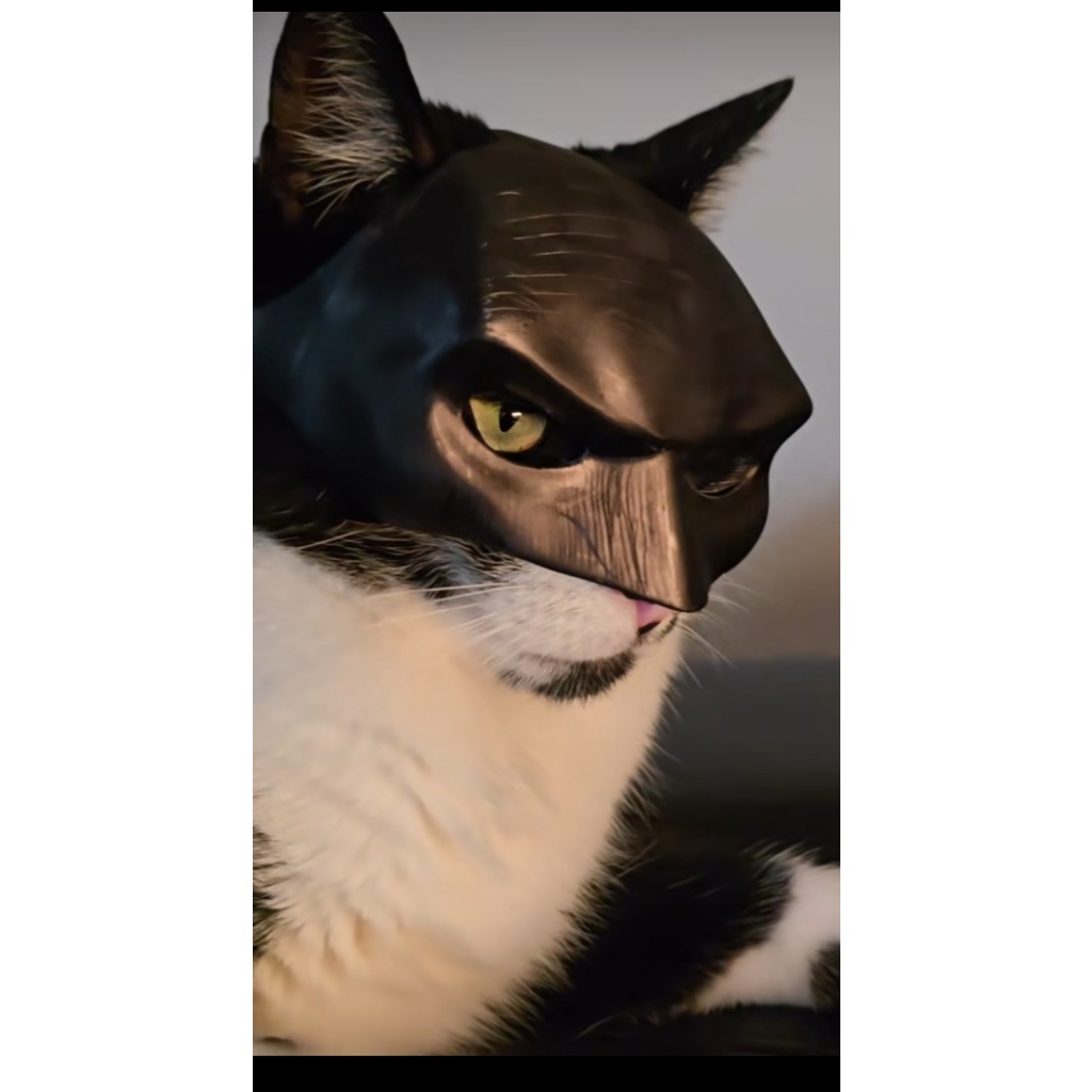 Jual batman cat mask topeng kucing tiktok viral lucu | Shopee Indonesia