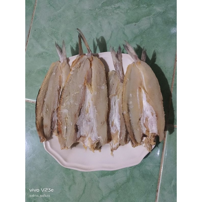 Jual Ikan Asin Gabus Laut/Ikan Asin Bloso Super 500 gram | Shopee Indonesia