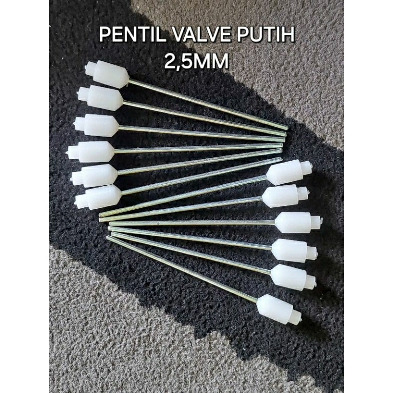 Jual pentil valve putih 2,5mm | Shopee Indonesia