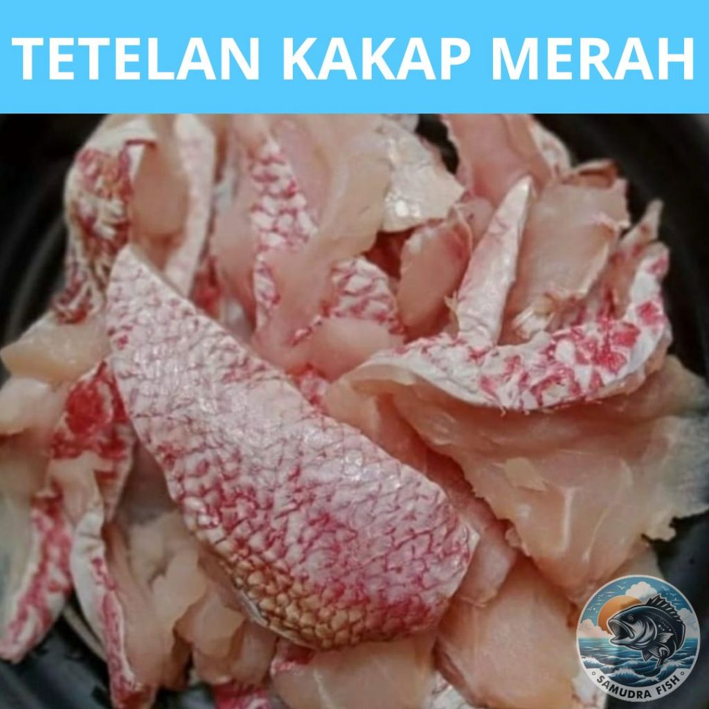 Jual Tetelan Kakap Merah 500gr Premium | Pasar Ikan Semarang | Beli ...
