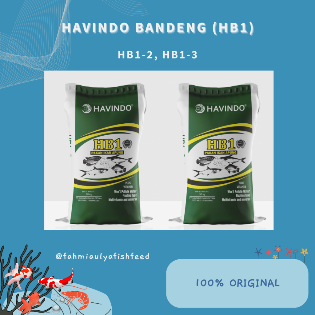 Jual HAVINDO BANDENG (HB1) | PAKAN IKAN APUNG BANDENG REPACK 1 KG | Shopee Indonesia