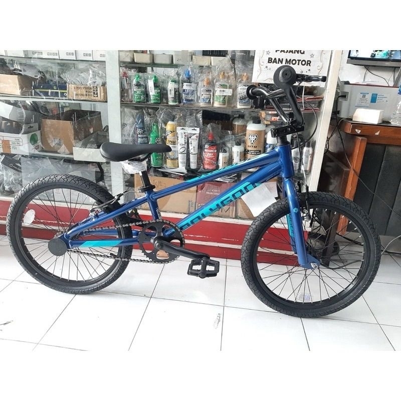 Jual Sepeda Anak BMX Polygon Rogue 20inch | Shopee Indonesia