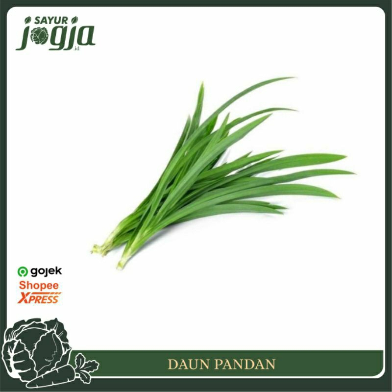 Jual Daun Pandan per Ikat | Shopee Indonesia