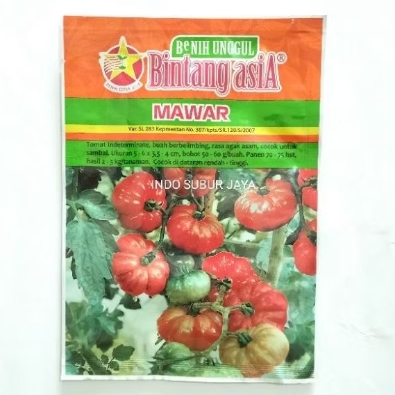Jual Benih Tomat Mawar Benih Unggul Bintang Asia Isi 10 Gram | Shopee ...