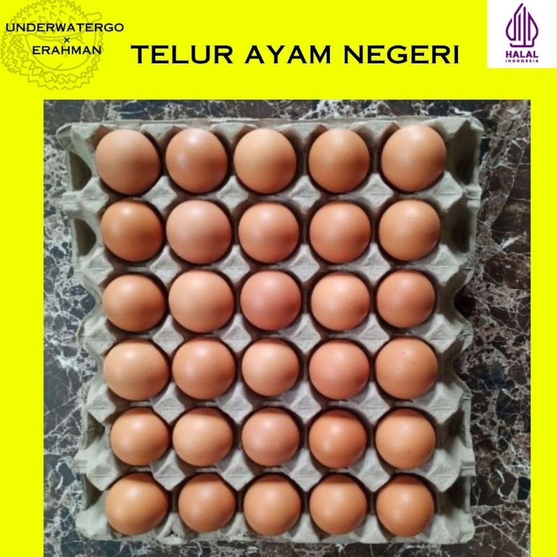 Jual TELUR AYAM NEGERI PREMIUM 1KG ISI 17 BUTIR TERMURAH | Shopee Indonesia