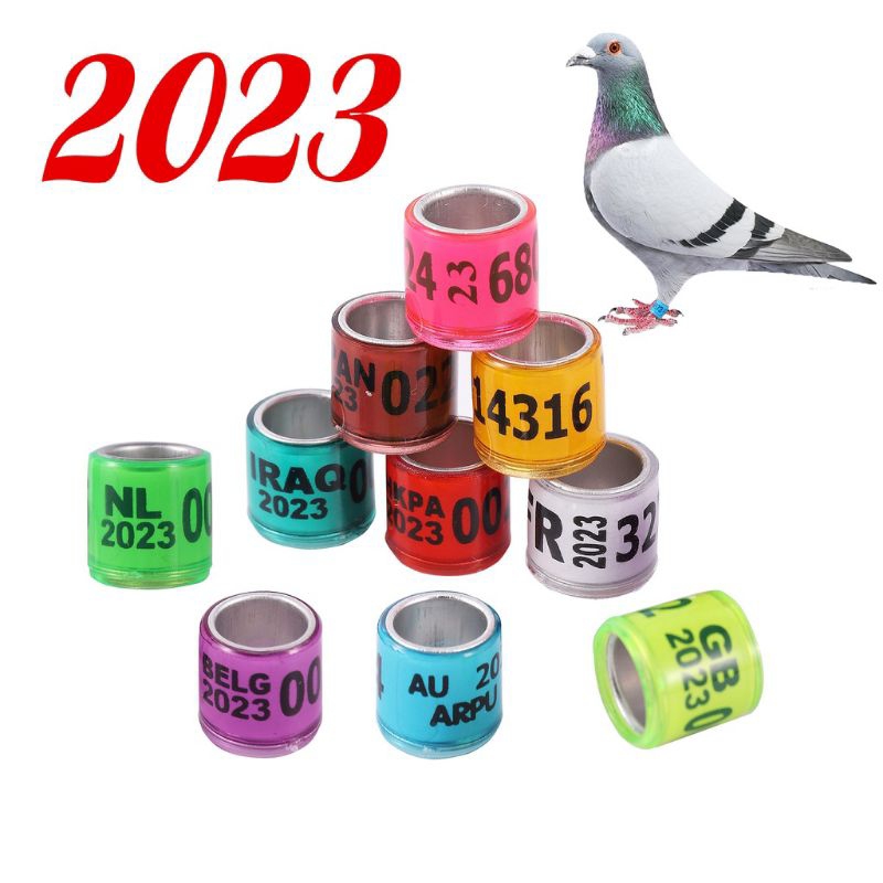 Jual 1 RING MERPATI IMPORT ASLI 2023 - CINCIN MERPATI CINCIN BURUNG ...