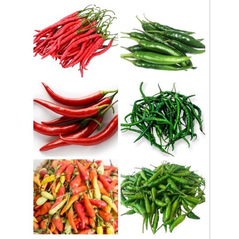 Jual aneka cabe/ cabe merah cabe hijau cabe kering | Shopee Indonesia