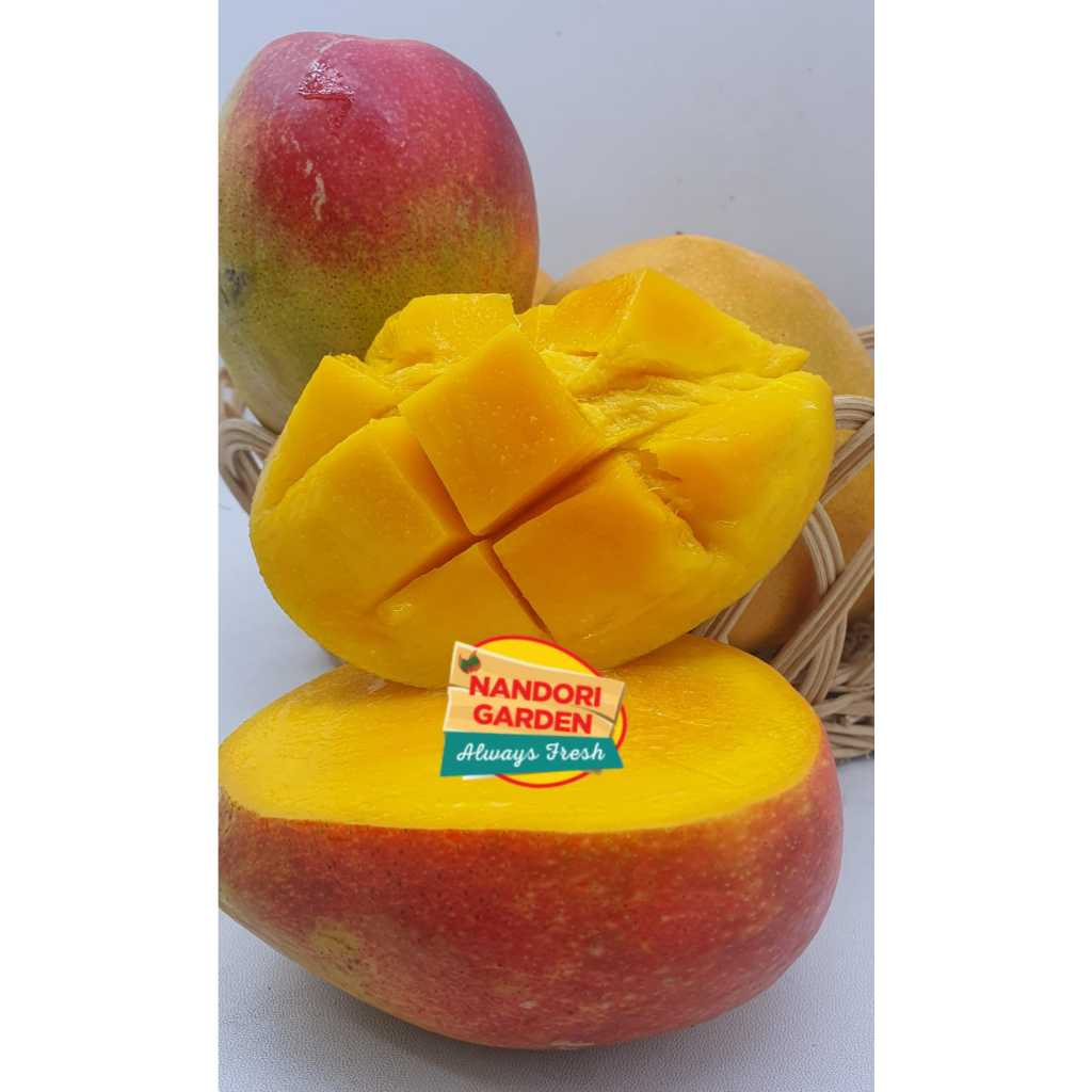 Jual [EKSOTIK] Nandori Garden Mangga Garifta Super 1KG | Shopee Indonesia