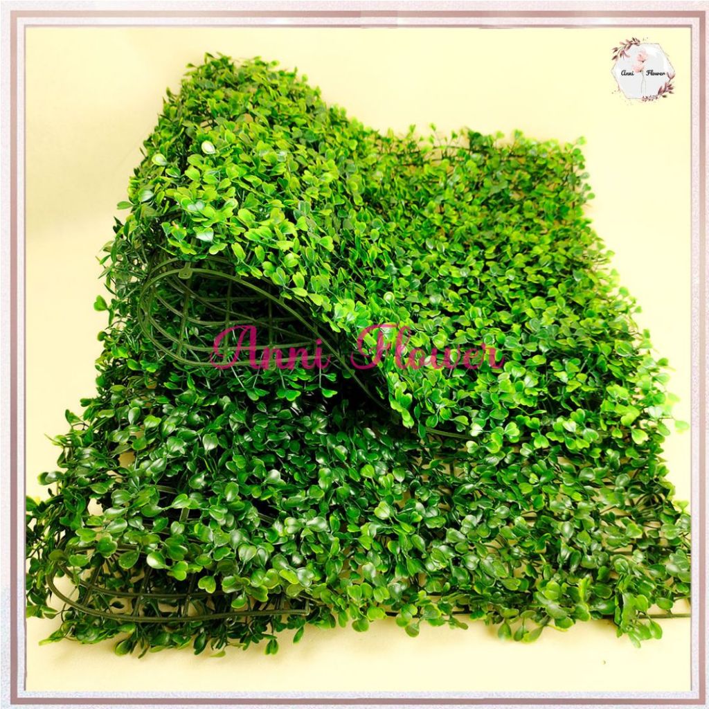 Jual ANNI - TERMURAH RUMPUT DAUN SINTETIS DOLLAR OXYLIA UKURAN 40X60CM ...