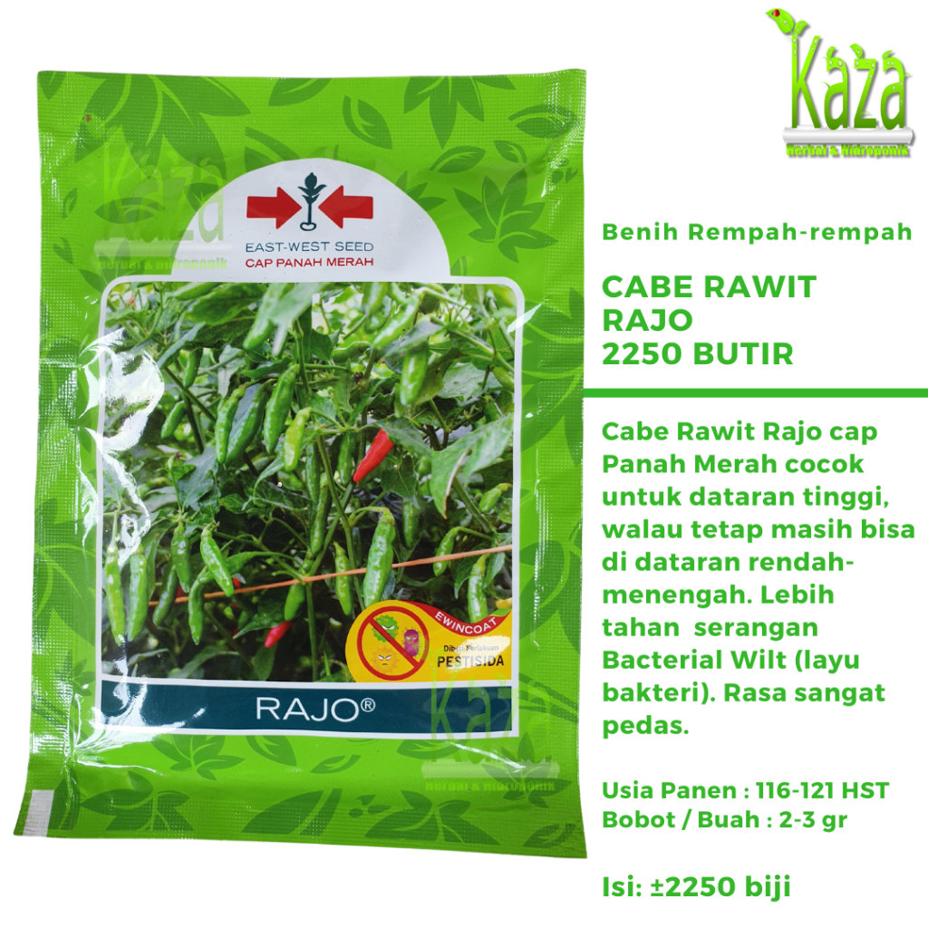 Jual Benih Cabe Rawit Rajo Isi 2250 butir Cap Panah Merah Frutescens ...