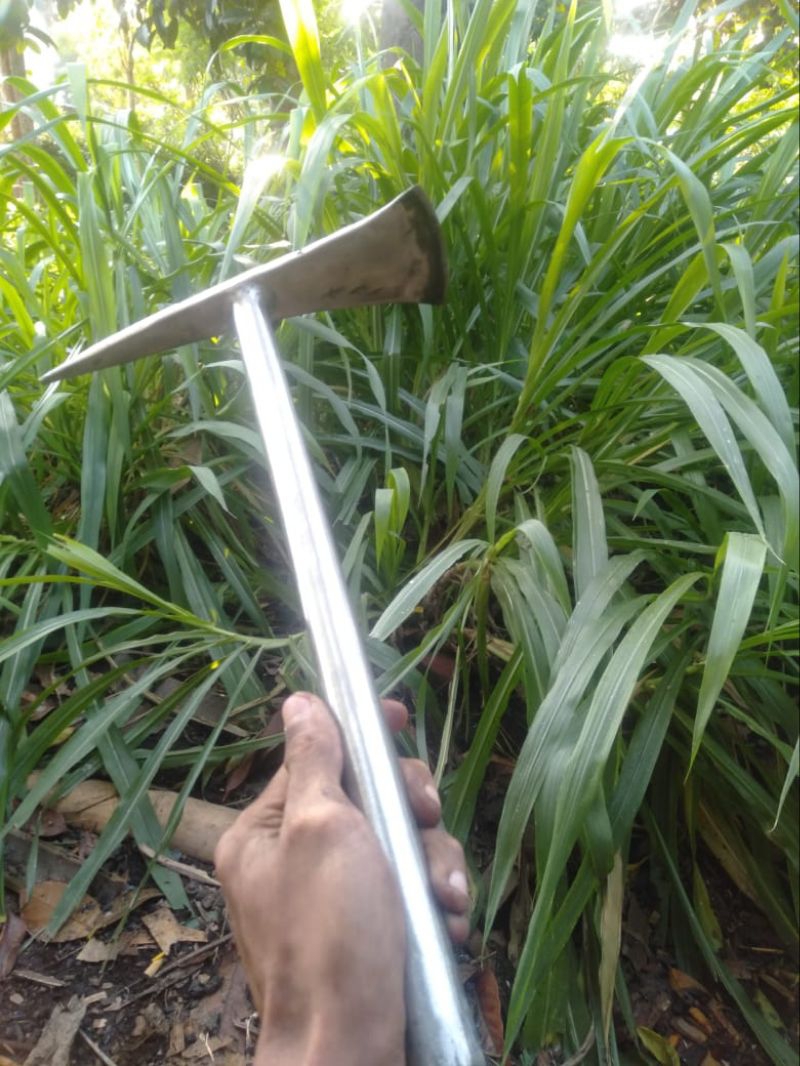 Jual Belencong Blencong Ganco Dua Sisi Cangkul Kecil Baja Gagang Besi ...