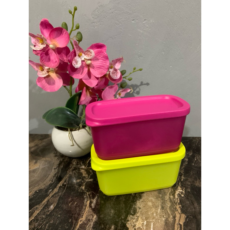 Jual MINI RECTANGULAR ORIGINAL TUPPERWARE (2PCS) | Shopee Indonesia