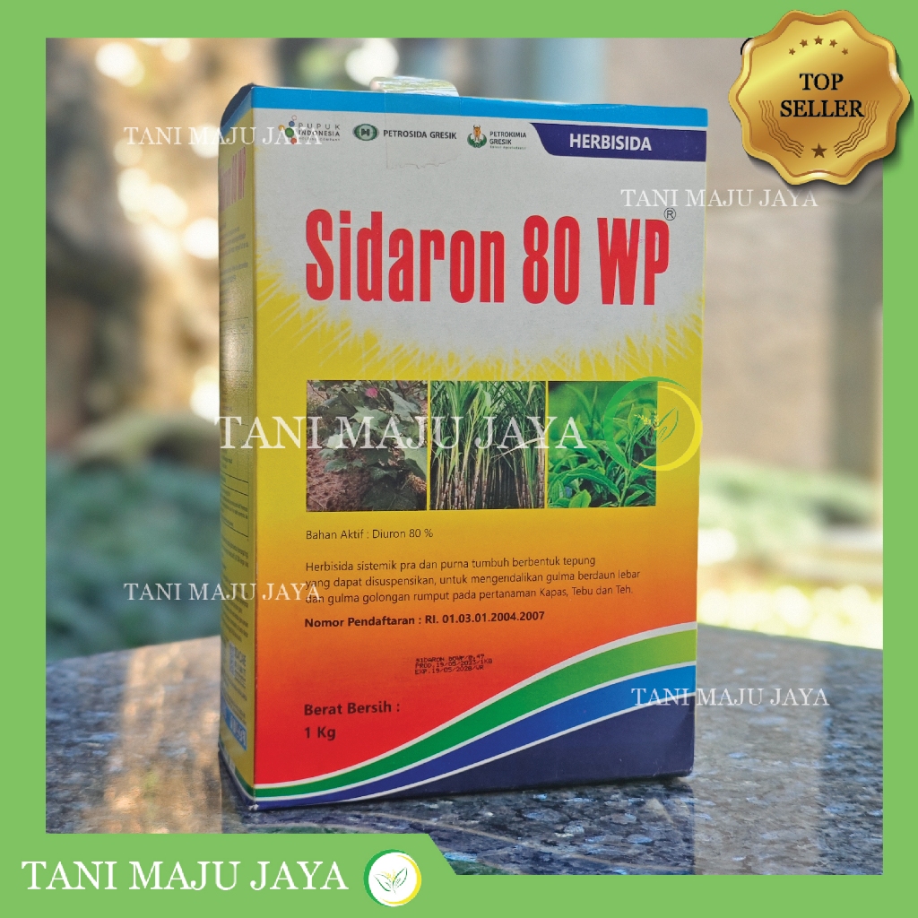 Jual Herbisida Sidaron 80WP 1 KG Obat Pembasmi Gulma Rumput Liar ...
