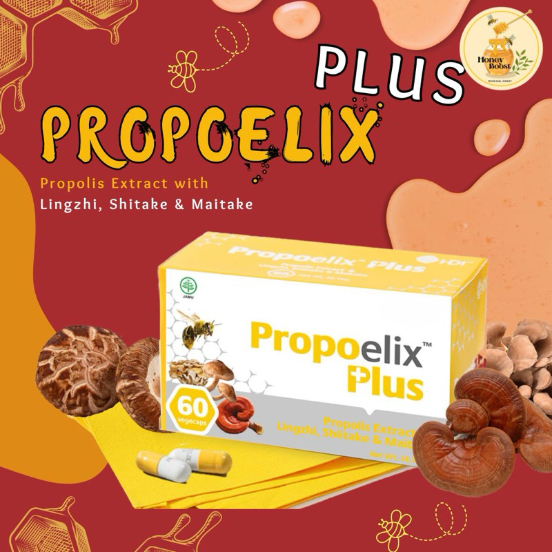 Jual PROPOELIX PLUS MULTIVITAMIN ISI 60 KAPS 100% ORIGINAL | Shopee ...