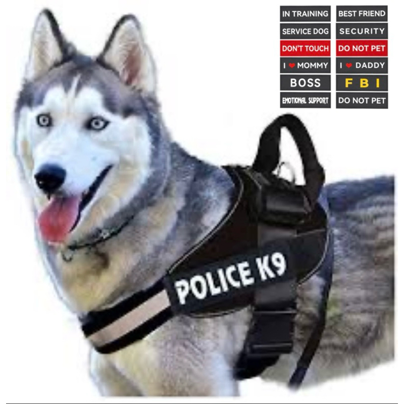 Jual K9 dog harness security | rompi anjing | custom tulisan security ...