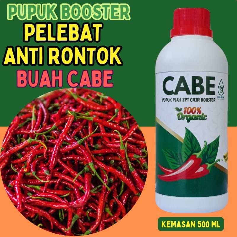 Jual Pupuk Pelebat Buah Cabai | Pupuk Buah cabai |Pupuk organik cair Hasil Melimpah dari Kebun ...