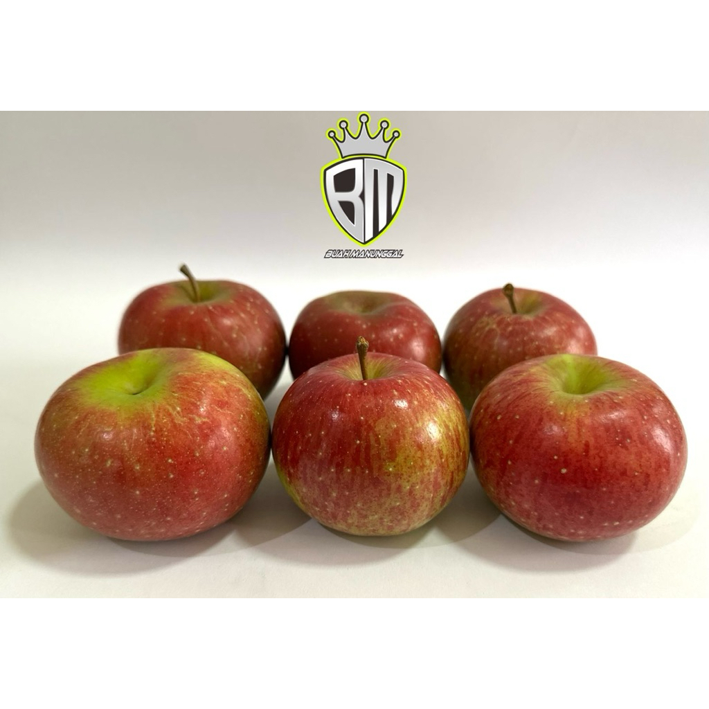 Jual Apel Malang Rome Beauty Super ukuran 5-7 buah/Apel Malang /Apel ...