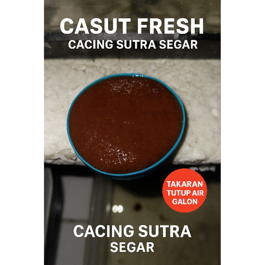 Jual Cacing Sutra Hidup Segar | Casut Fresh Pakan Ikan Cupang, Guppy ...