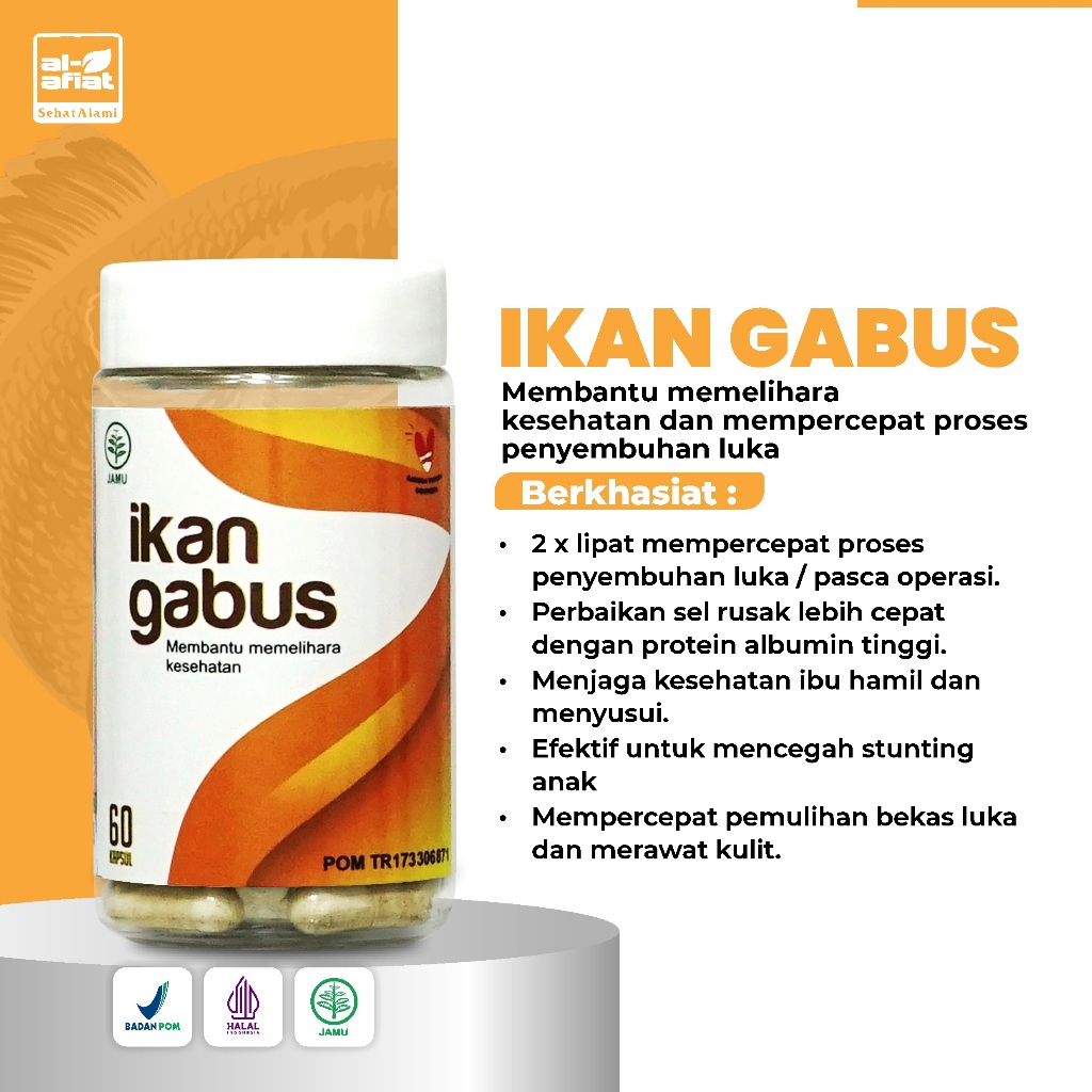 Jual Obat Luka Dalam Alami – Kapsul Ikan Gabus Alafiat Original 60 ...