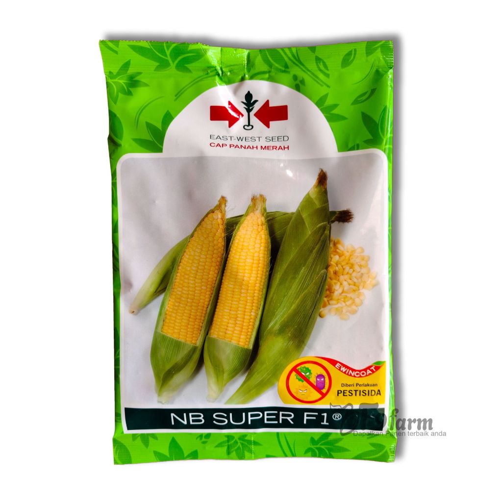 Jual Benih Jagung Manis NB Super F1 1750 Biji Cap Panah Merah | Shopee ...