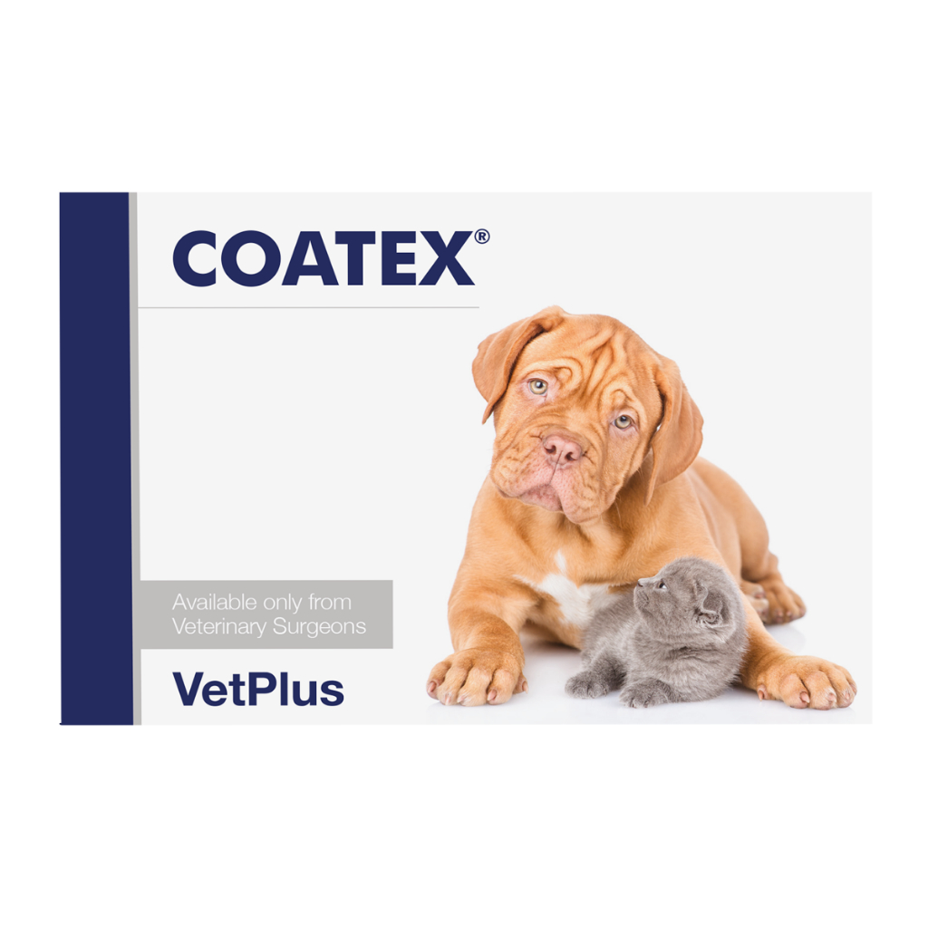 Jual VetPlus COATEX EFA 60 Kapsul (1 Box Kecil) | For Dogs & Cats ...