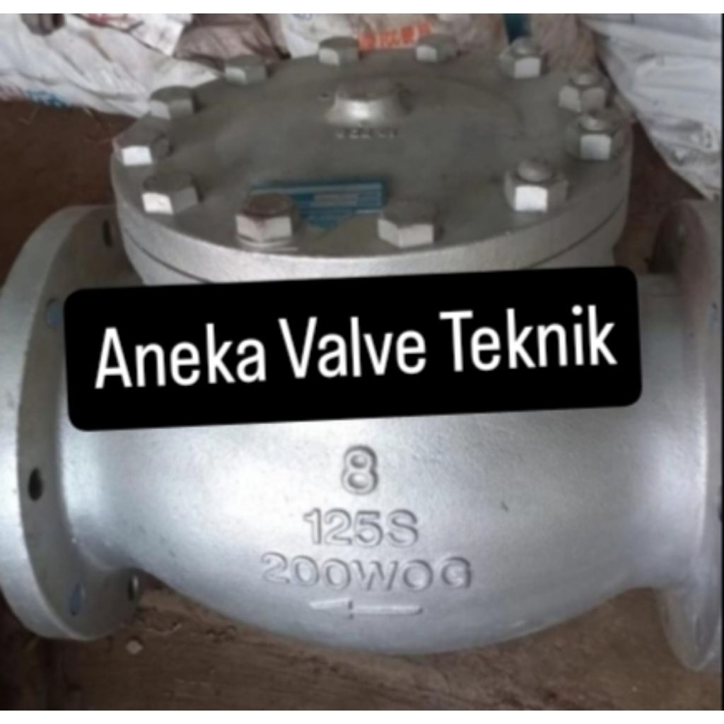 Jual SWING CHECK VALVE KITZ CLASS 125S / 200 WOG CAST IRON 5" | Shopee ...