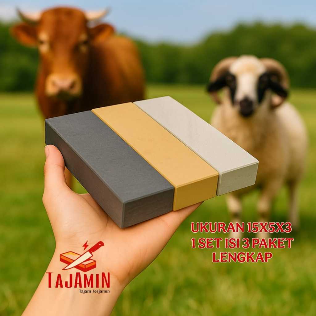 Jual Batu Asah 1 Set Isi 3 Ukuran 15x5x3 – Grit Kasar Halus Super Halus ...
