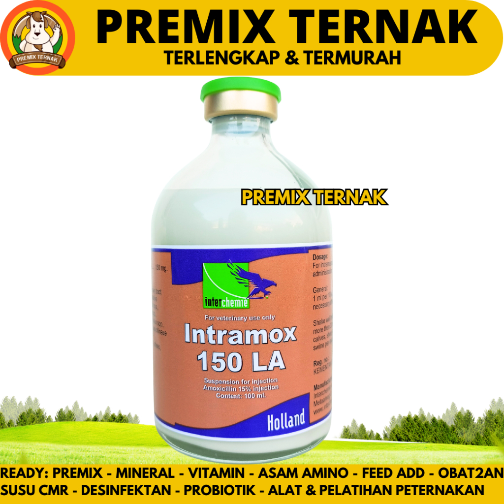 Jual INTRAMOX 150 LA ORANGE 100ML - Obat Antibiotik Spektrum Luas Long ...