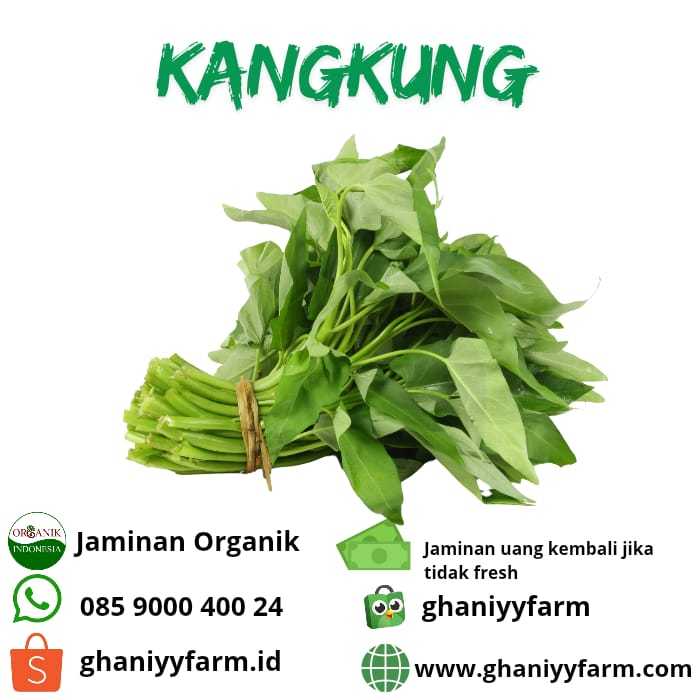 Jual Sayur Organik Kangkung Organik 250 Gram | Shopee Indonesia