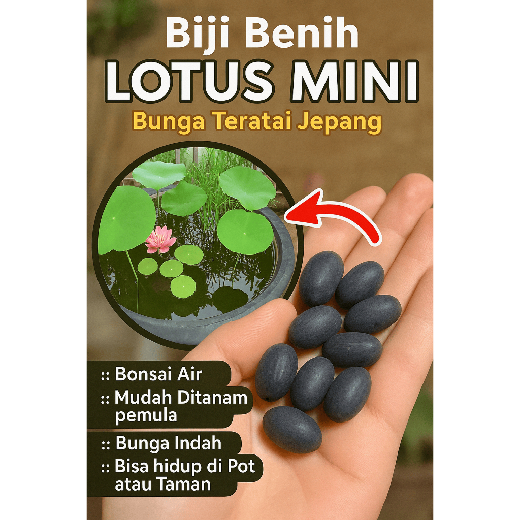 Jual JAVARA SEEDS - Biji Benih Lotus Mini Bunga Teratai Ditanam Dalam ...