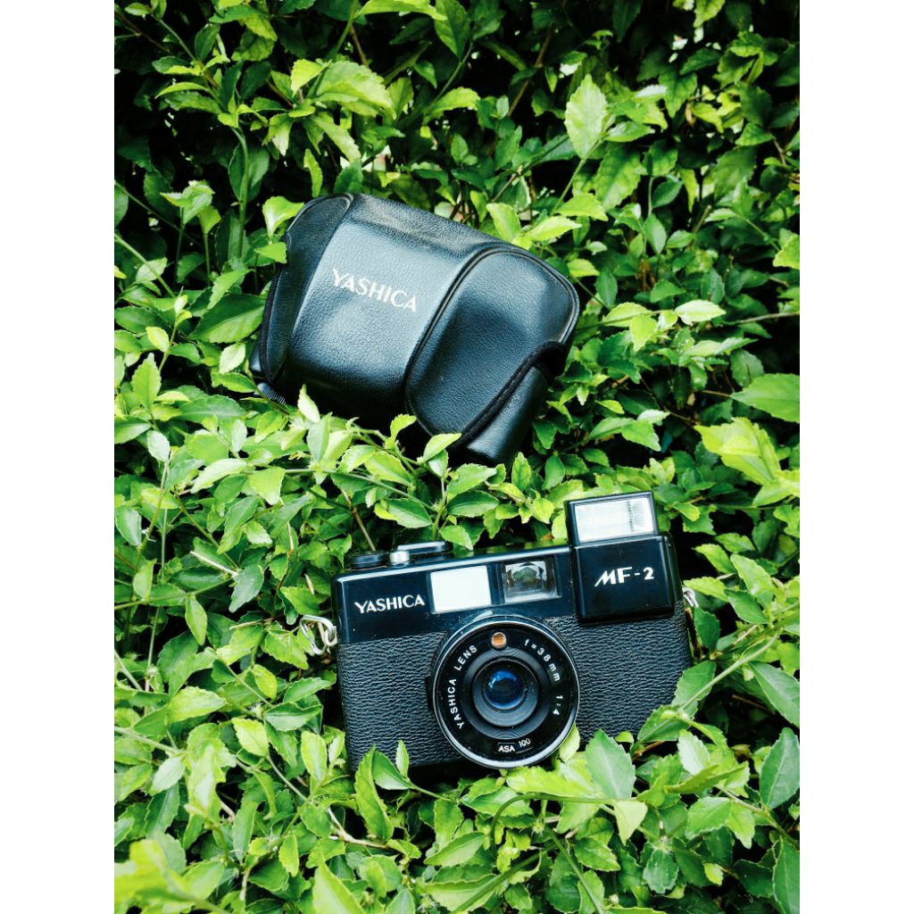 Jual kamera analog yashica mf2 (seri awal) | Shopee Indonesia