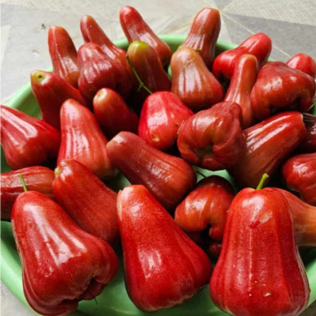 Jual Jambu Air Citra Merah, jambu citra merah,manis,fresh selalu ...
